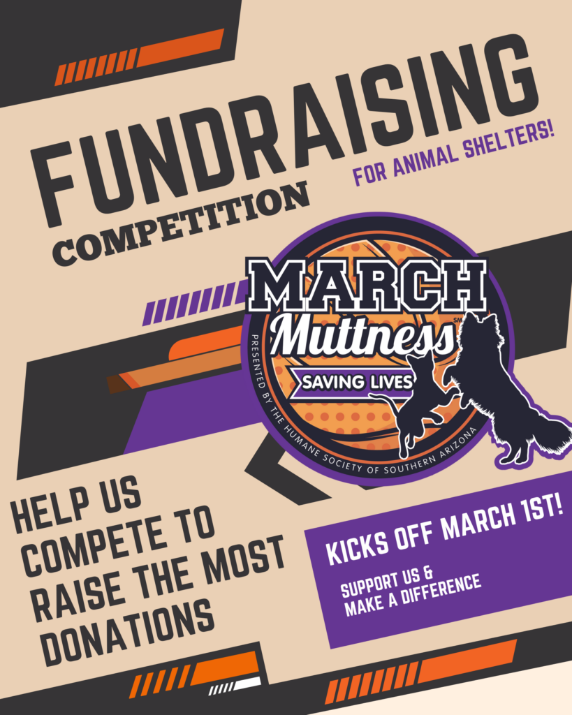 March Muttness 2025: Media Kit – Donor Charm