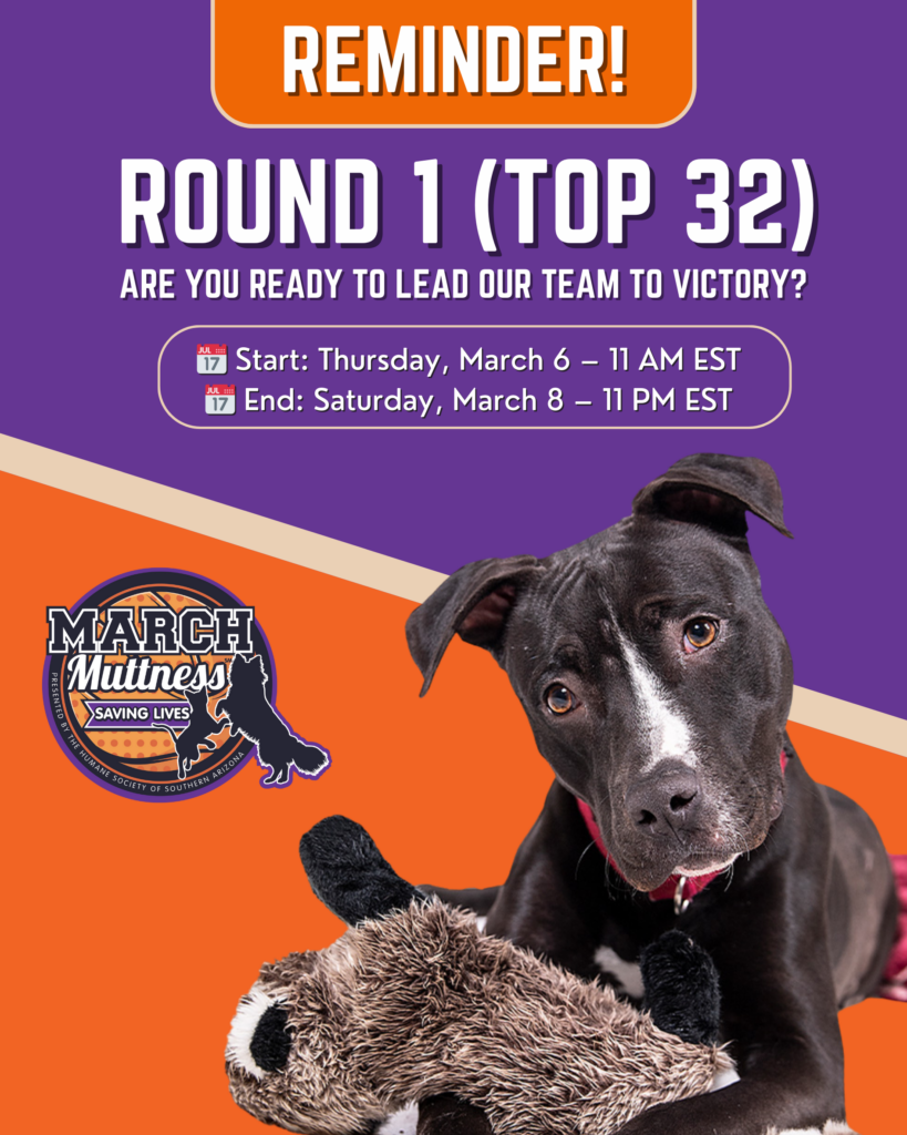 March Muttness 2025: Media Kit – Donor Charm